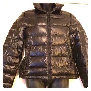 Aqua | Jackets & Coats | Aqua Puffer Coat | Poshmark